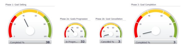 Progress Dashboard for Oracle Goal Management - Infovity